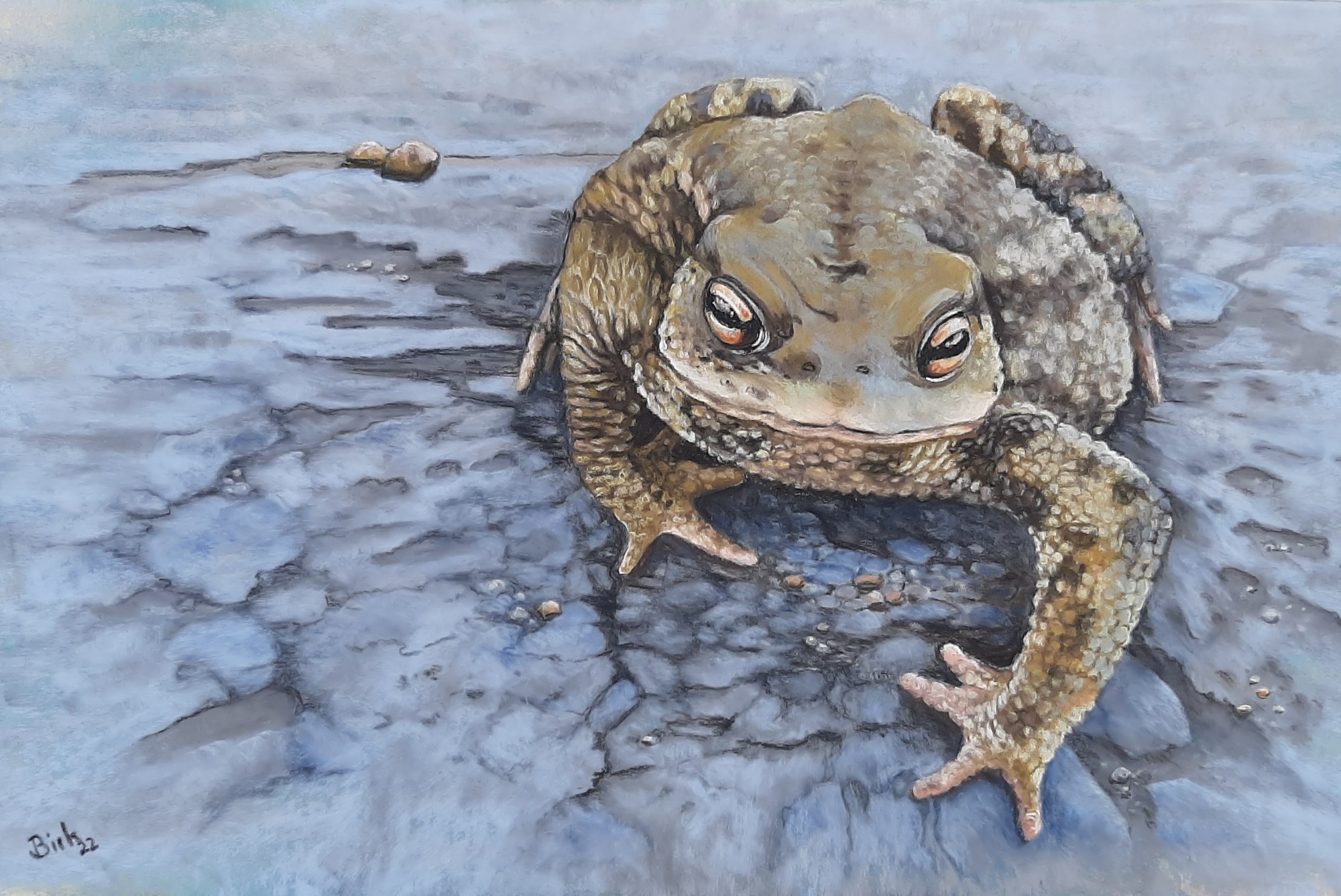 Common-toad - UART